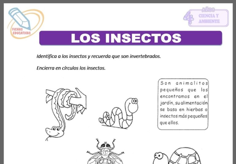 Los insectos para niños de Cuatro Años - Fichas Educativas