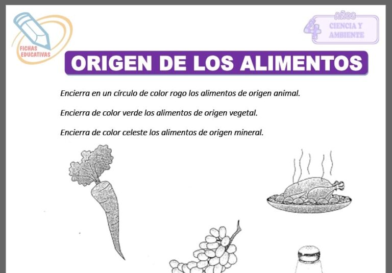 Origen de los alimentos para niños de Cuatro Años - Fichas Educativas