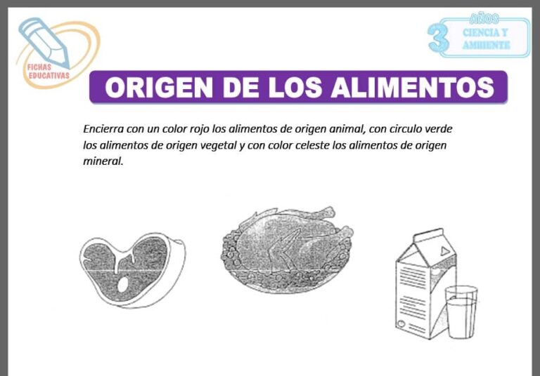Origen de los alimentos para niños de Tres Años - Fichas Educativas