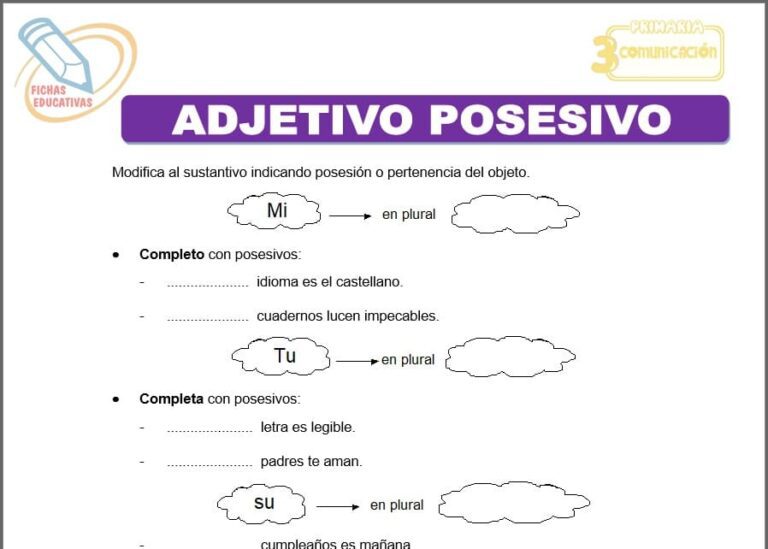 Adjetivo posesivo para Tercero de Primaria - Fichas Educativas