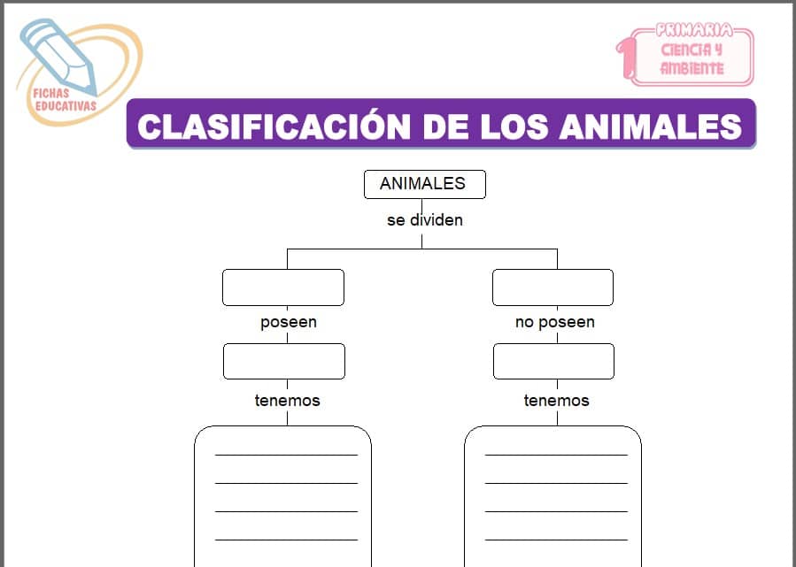 Clasificación de los animales para Primero de Primaria