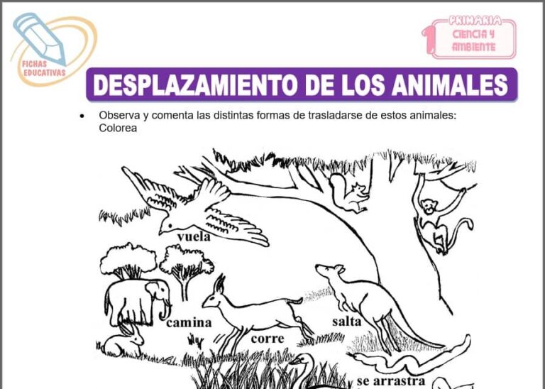 Ciencia y Ambiente para Primero de Primaria - Fichas Educativas