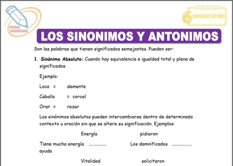 Los sinónimos y antónimos para Sexto de Primaria