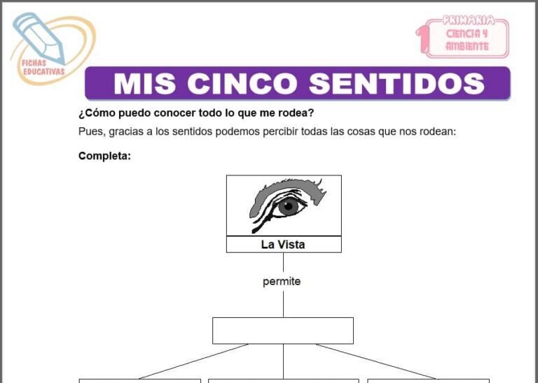 Mis cinco sentidos para Primero de Primaria - Fichas Educativas