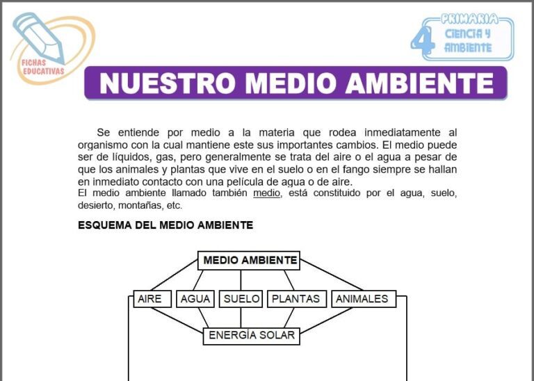 Nuestro medio ambiente para Cuarto de Primaria