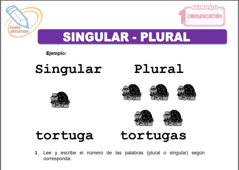 Singular - plural para Primero de Primaria - Fichas Educativas