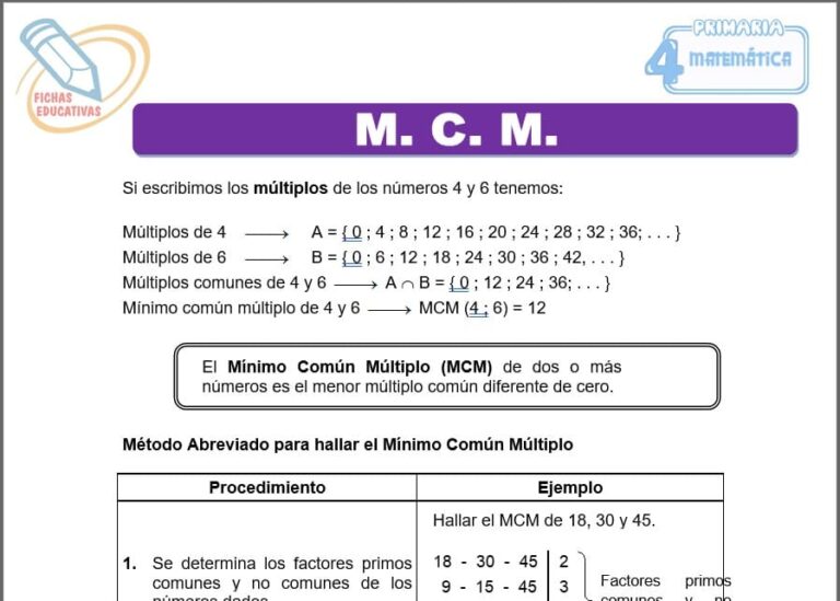 Matemática para Cuarto de Primaria - Fichas Educativas