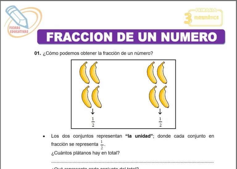 Fracción de un número para Tercero de Primaria