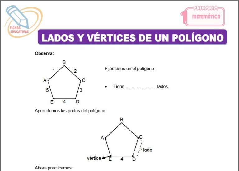 Lados y vértices de un polígono para Primero de Primaria